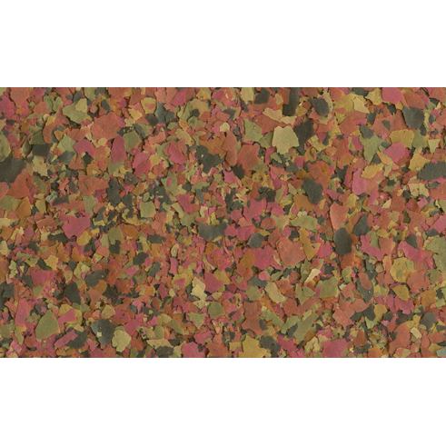 Tropical Page 2 - Dorry Pets