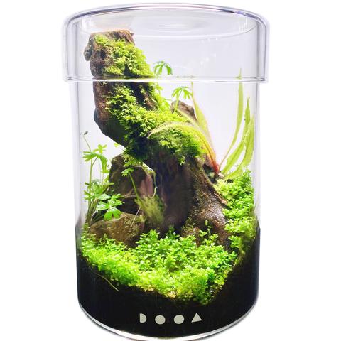 DOOA Glass Pot MARU - Dorry Pets