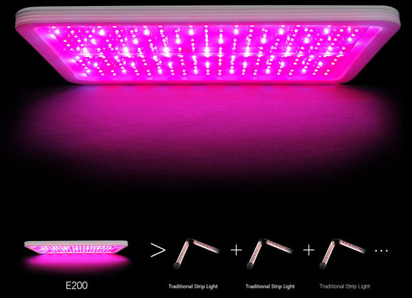 Zetlight E200S Algea Cylinder Lamp - Dorry Pets