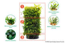 DOOA – Terra Base (M) - Dorry Pets