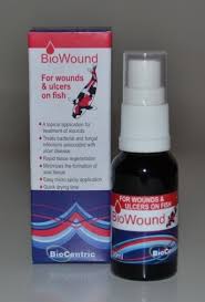 BIO WOUND - Dorry Pets